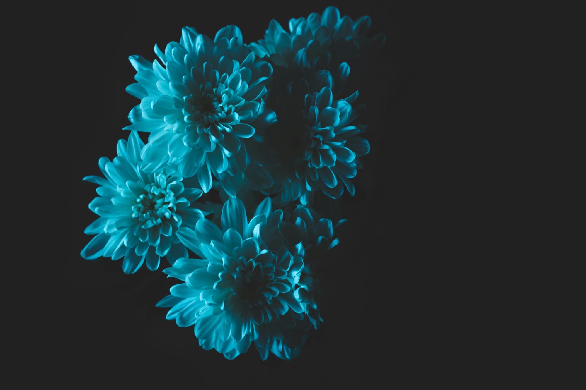 Get the easy stuff right - Impact Society